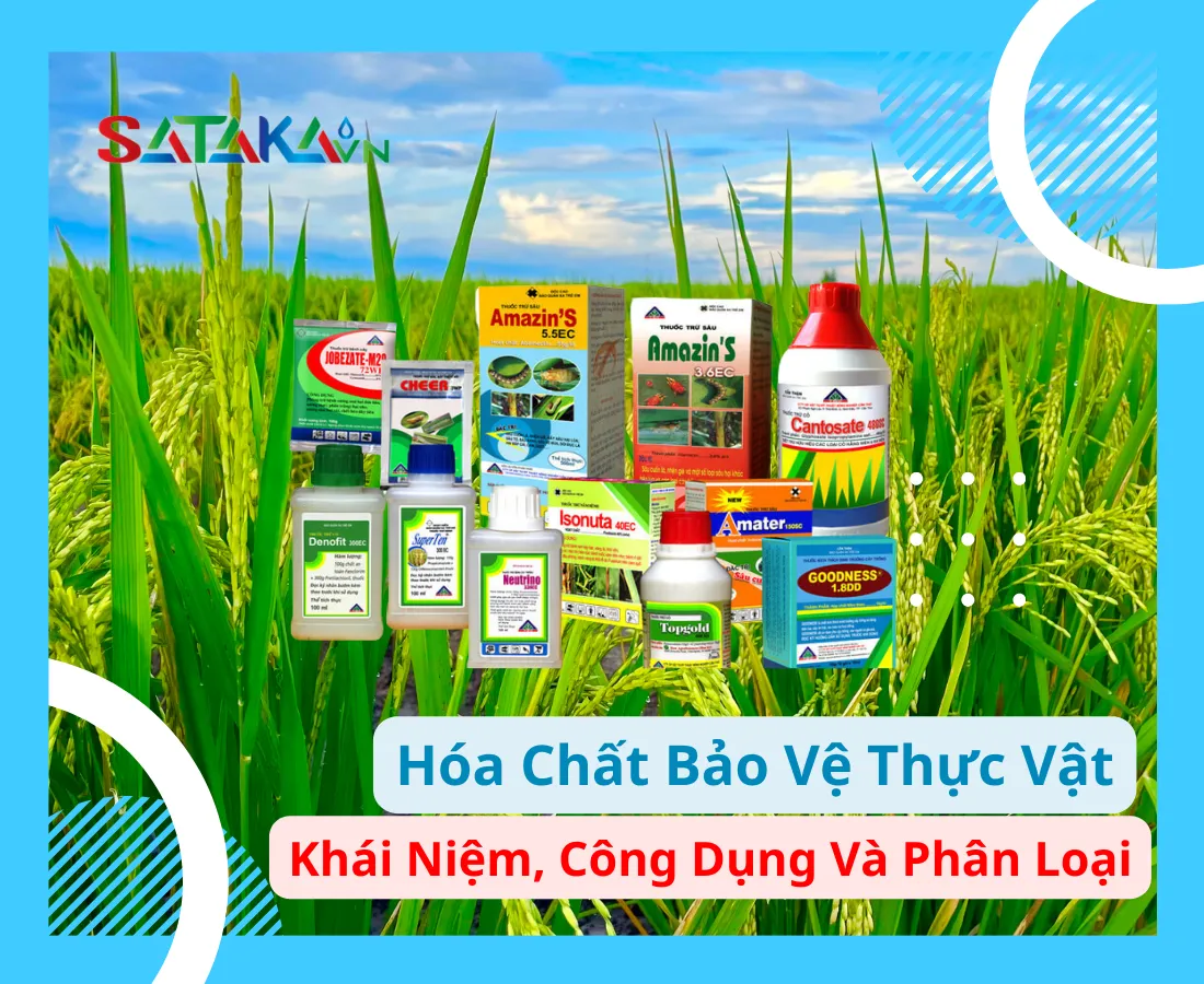 Tìm hiểu về hóa chất thuốc bảo vệ thực vật