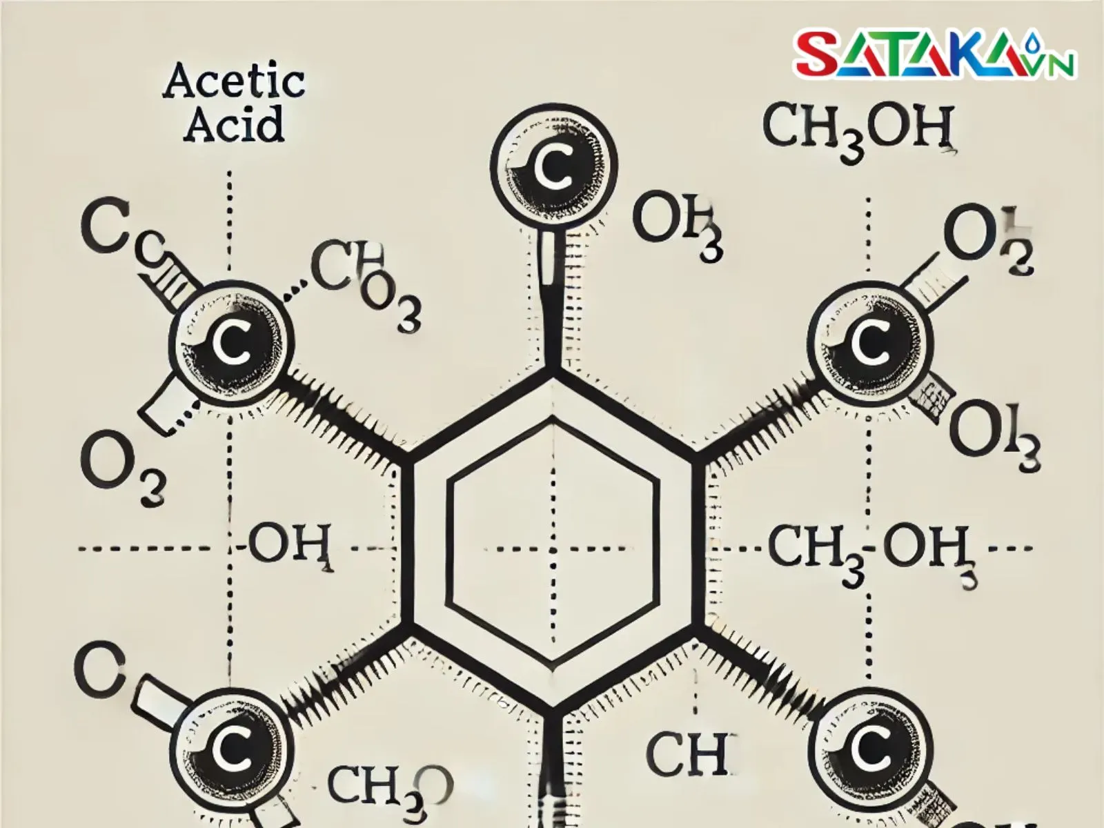 អត្ថប្រយោជន៍នៃការរួមបញ្ចូលគ្នារវាងអាស៊ីតអាសេទិក និងជីសរីរាង្គ