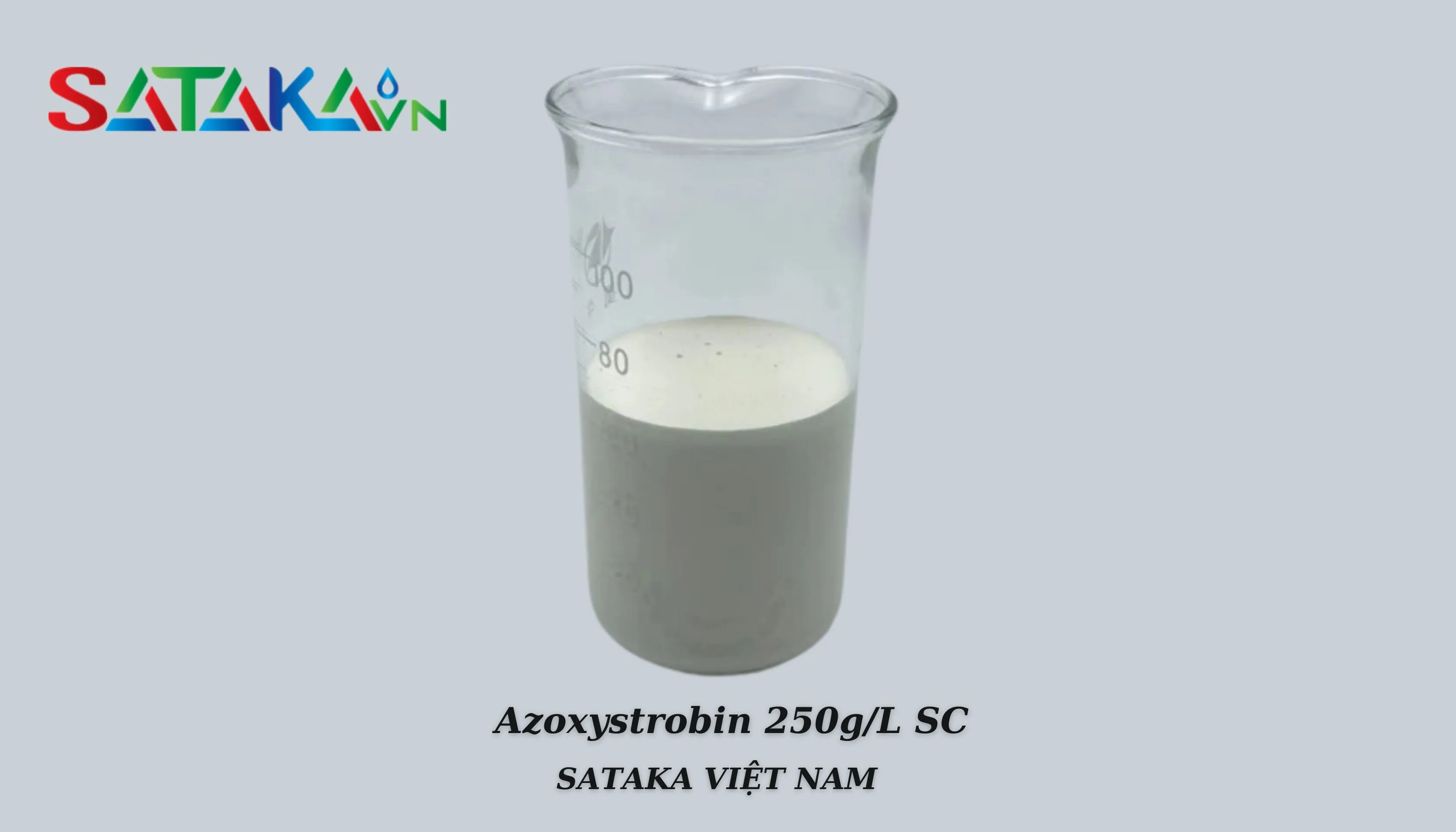 សារធាតុសកម្ម Azoxystrobin - ថ្នាំសម្លាប់ផ្សិតលេខ 1 ជួយដំណាំឱ្យមានសុខភាពល្អ